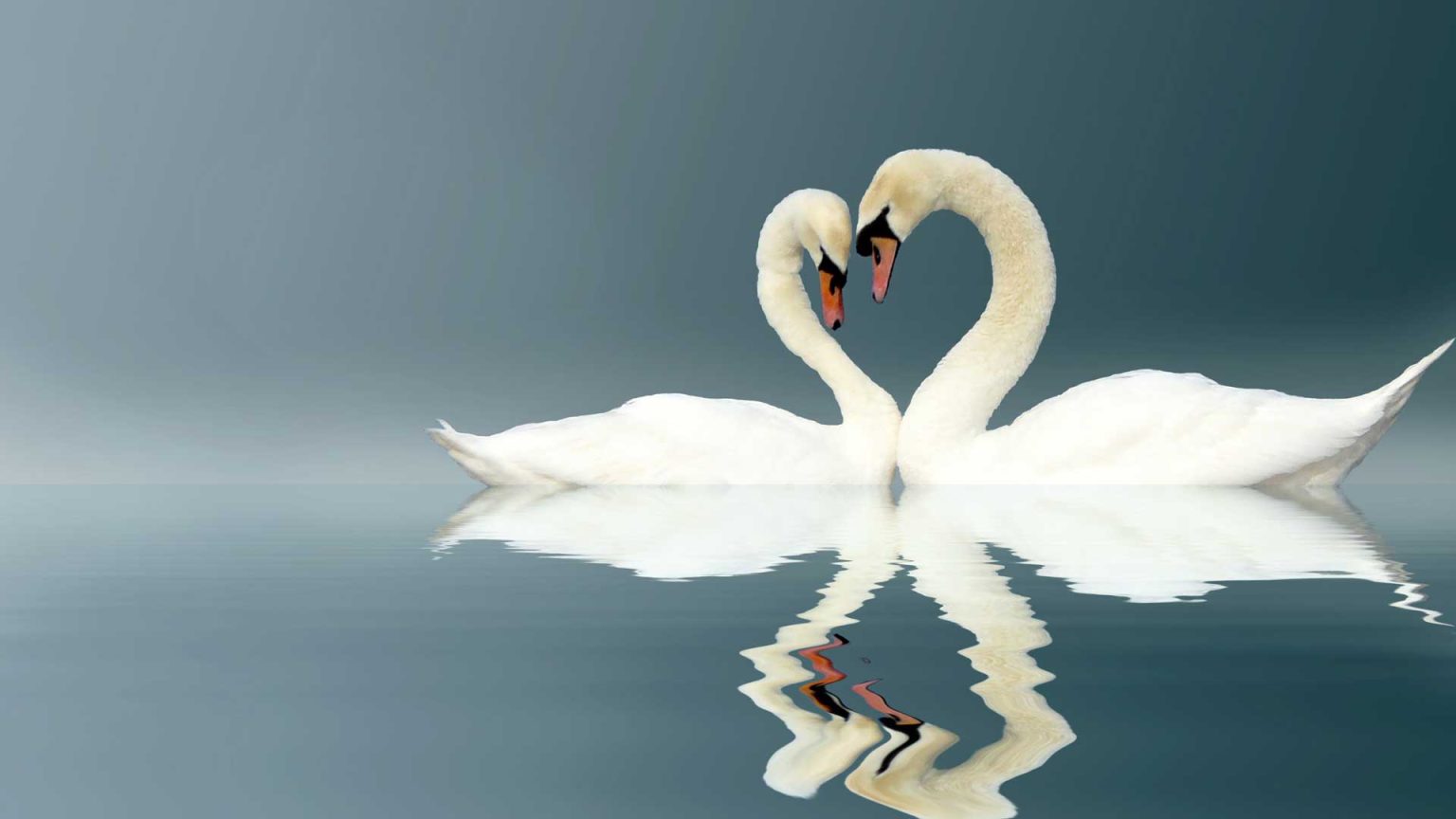 Is your boss in love with you? Or are you in love with them? | Laughology